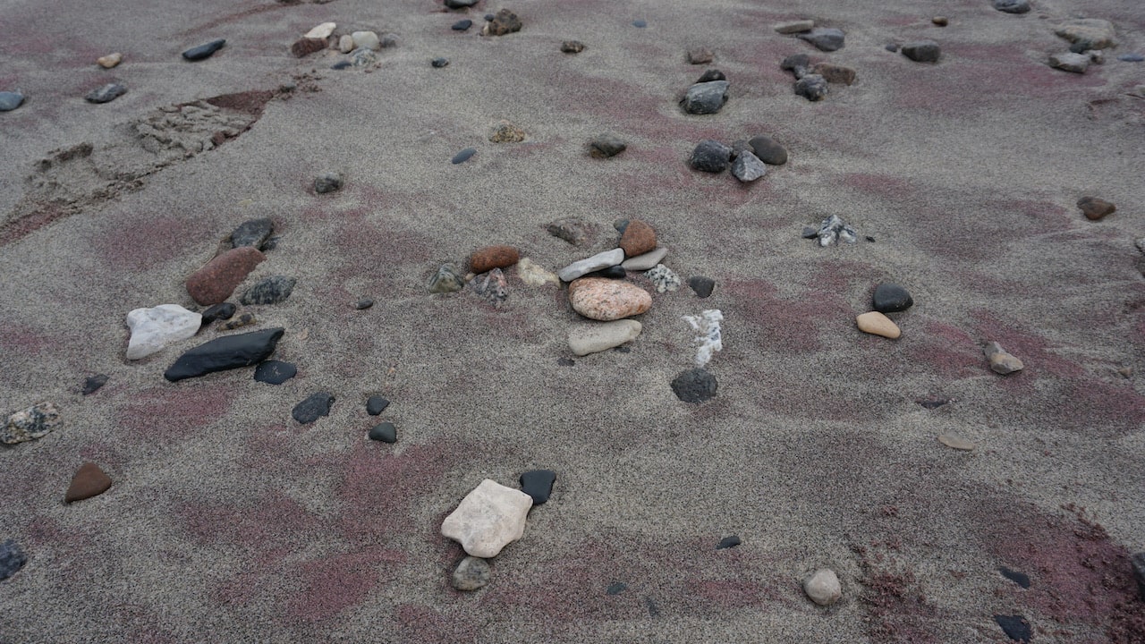 Voyage à l’Île de l’ours par Mirabelle Kelly, ambassadrice du Plan Nous ...