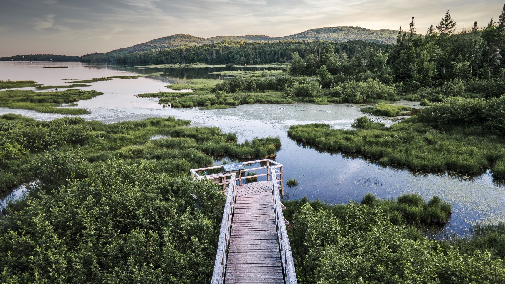 Protéger les milieux humides pour le climat - SNAP Québec