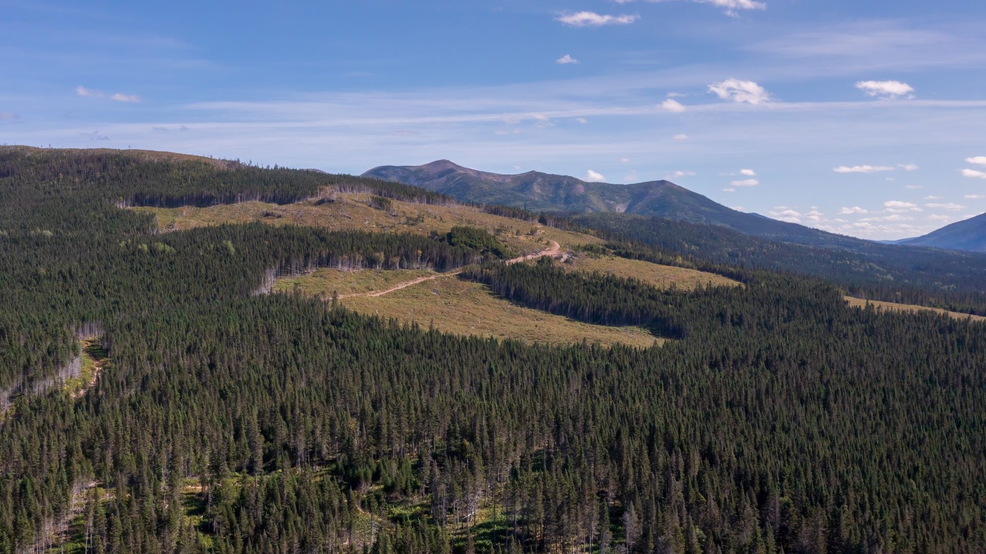 The Montreal Call for Dialogue on Systemic Change is launched - SNAP Québec