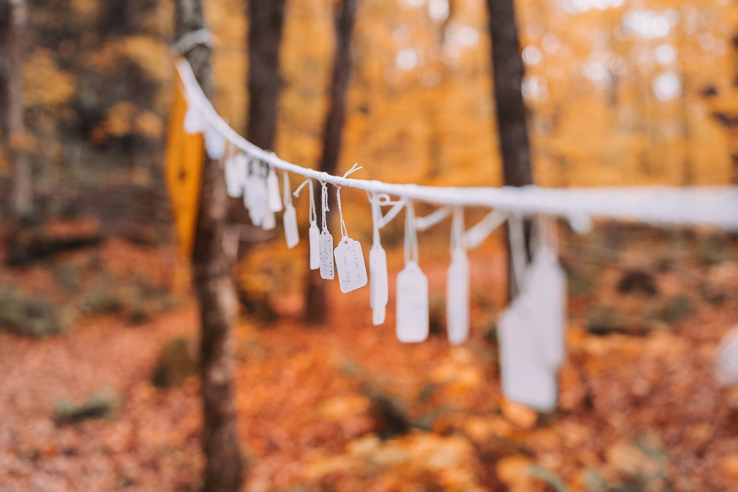 Venez rendre Grâce à la nature lors de la fin de semaine de l'Action de ...
