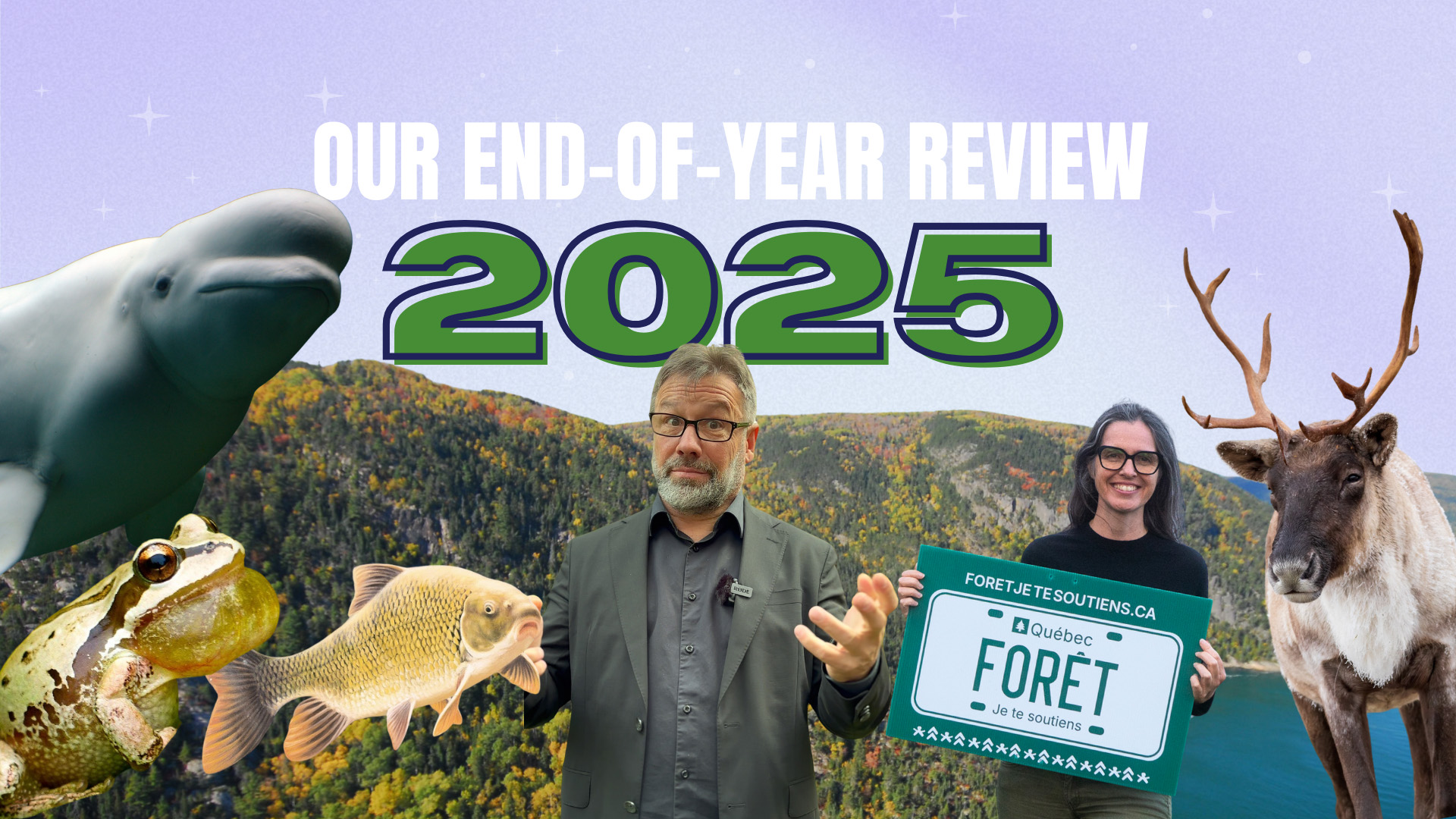 SNAP Québec's 2025 Retrospective - SNAP Québec